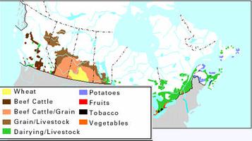 Crops - The Canadian Encyclopedia